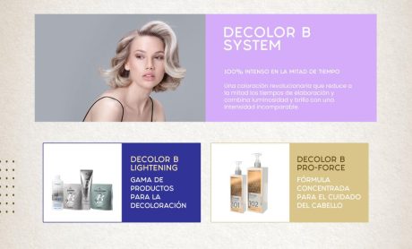 Precios DECOLOR B SYSTEM – Paloma Peluquería